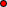 Moskau is offline (last seen at 10/10/2026 5:02:17 AM).